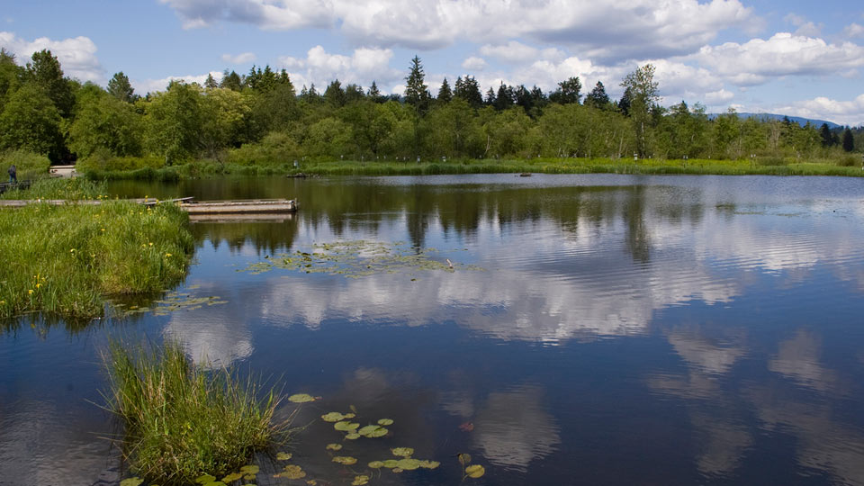 Burnaby Lake Rejuvenation Project