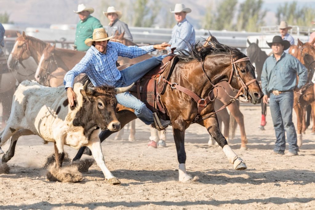 Williams Lake Stampede